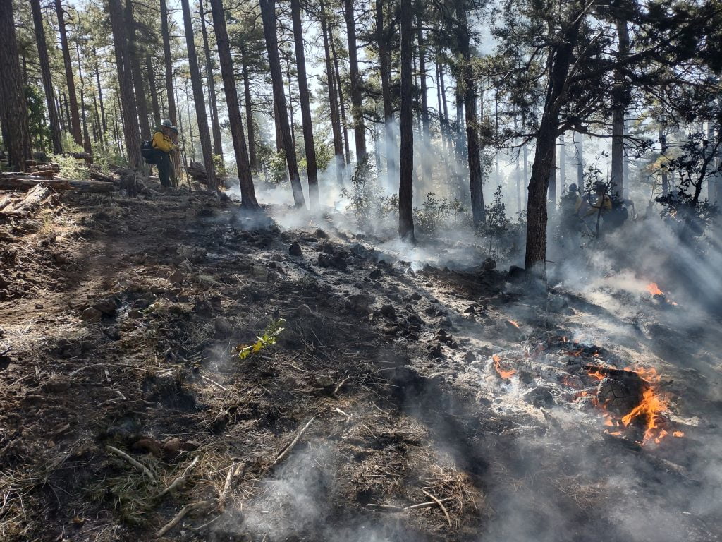 Brushfire Behind Pinetop Safeway Quickly Suppressed By Local Fire Crews ...