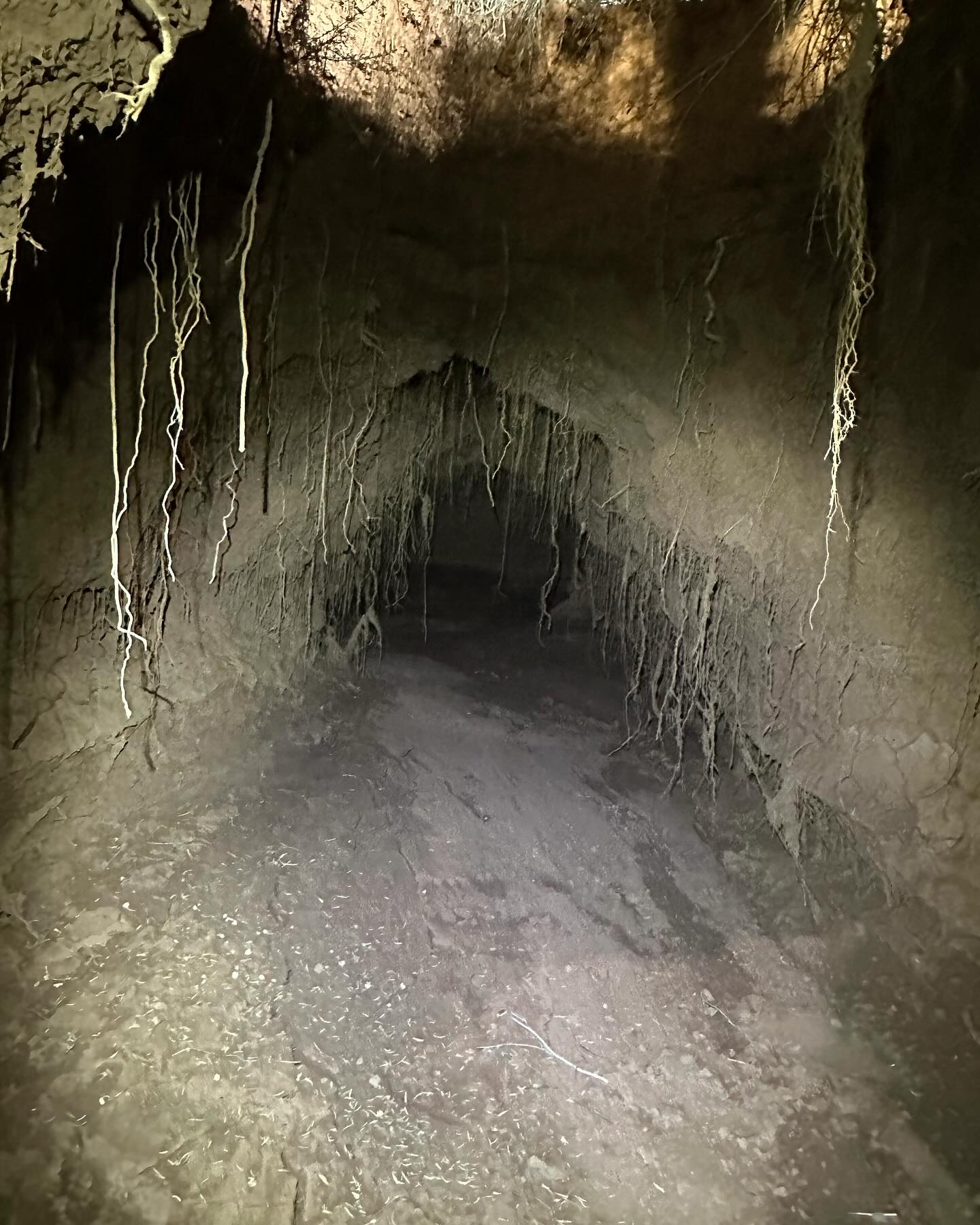 Man Falls To His Death Driving ATV Into A Sinkhole | Concho | MOUNTAIN ...