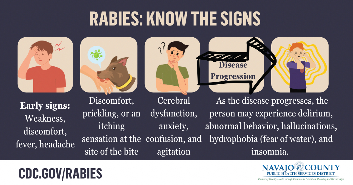 Rabies Confirmed In Navajo County | MOUNTAIN DAILY STAR