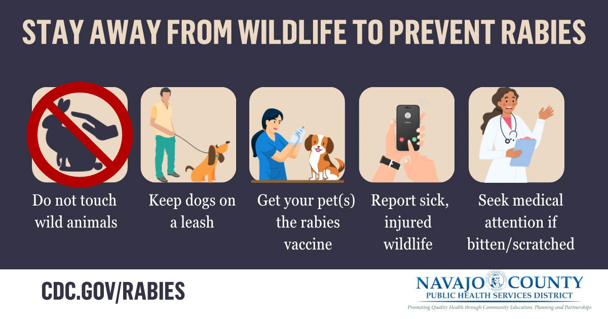 Rabies Confirmed In Navajo County | MOUNTAIN DAILY STAR