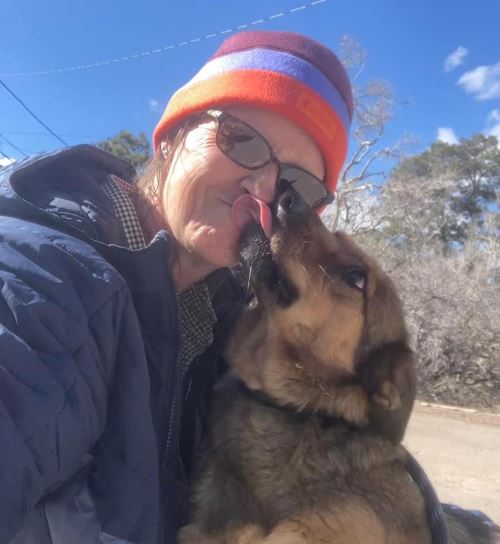 "Lone Survivor" Of The Apache County Animal Crisis Finds A Forever Home ...