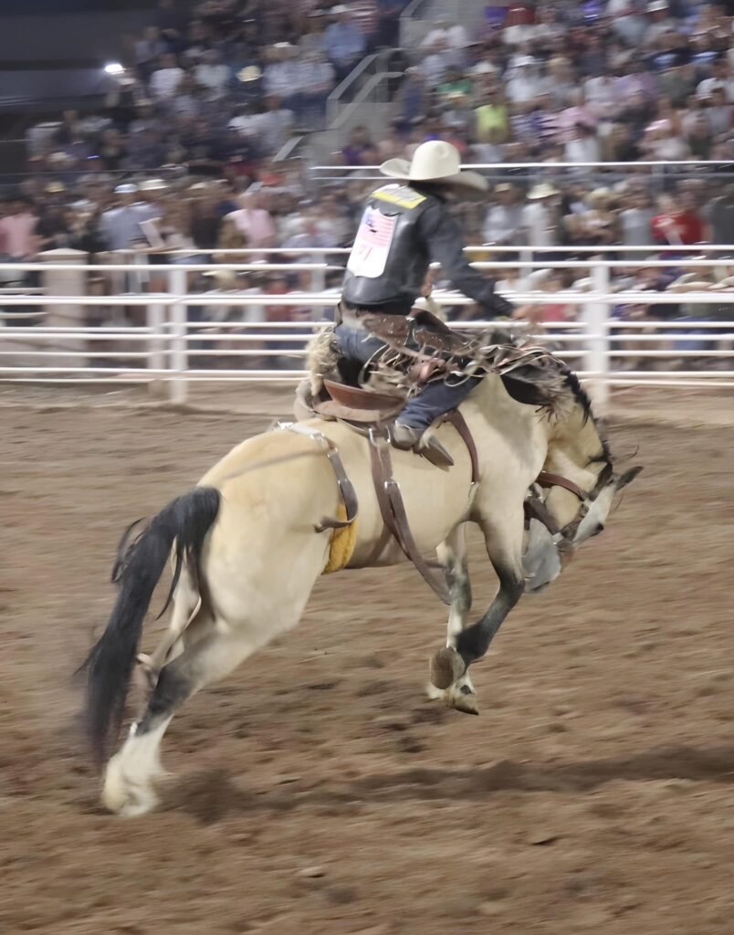 70th Annual Taylor Rodeo | Celebrate The Taylor Way | MOUNTAIN DAILY STAR