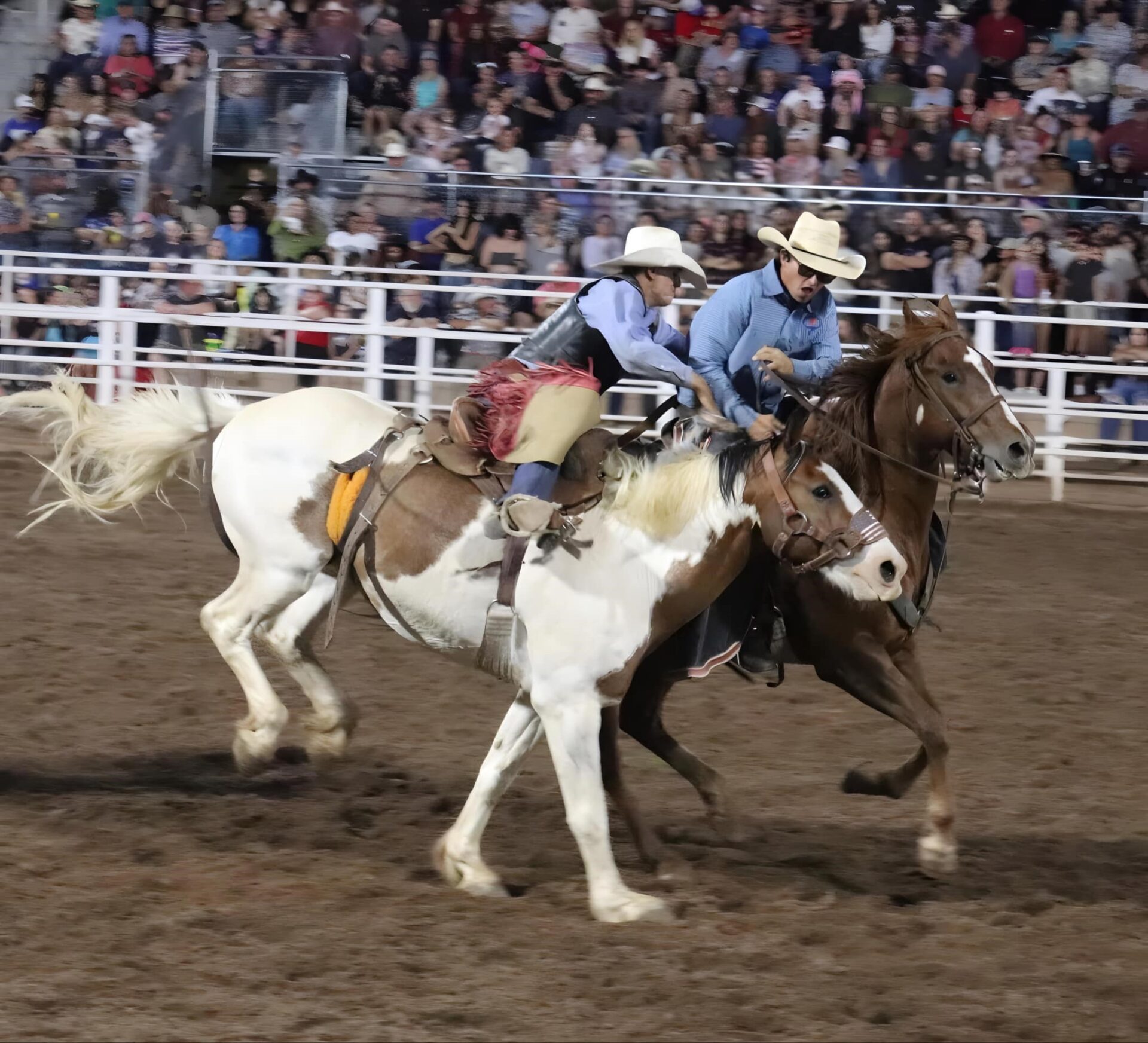 70th Annual Taylor Rodeo | Celebrate The Taylor Way | MOUNTAIN DAILY STAR