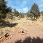 35 Years Later, Dude Fire’s Legacy Still Shapes Arizona’s Wildfire ...