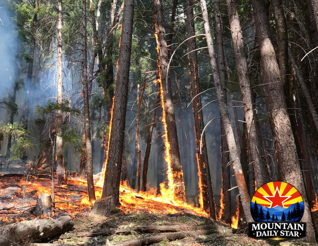 Forest Service Expands Chainsaw Use For Private Wildland Fire ...