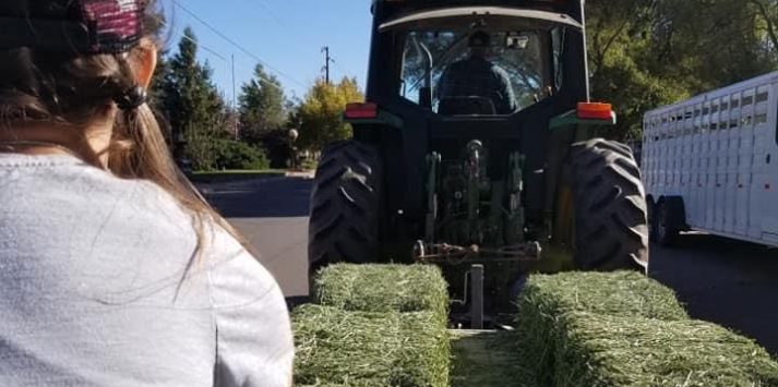 Willis Farm Harvest Festival | Snowflake, Arizona | MOUNTAIN DAILY STAR
