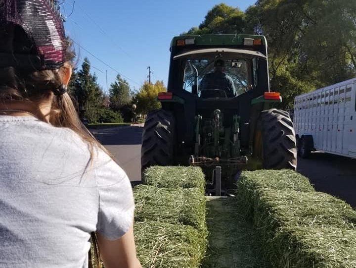 Last Known Picture Of Missing Joseph City Juvenile, Jarrett Brooks ...