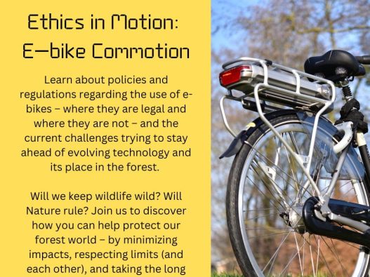 Last Known Picture Of Missing Joseph City Juvenile, Jarrett Brooks ...