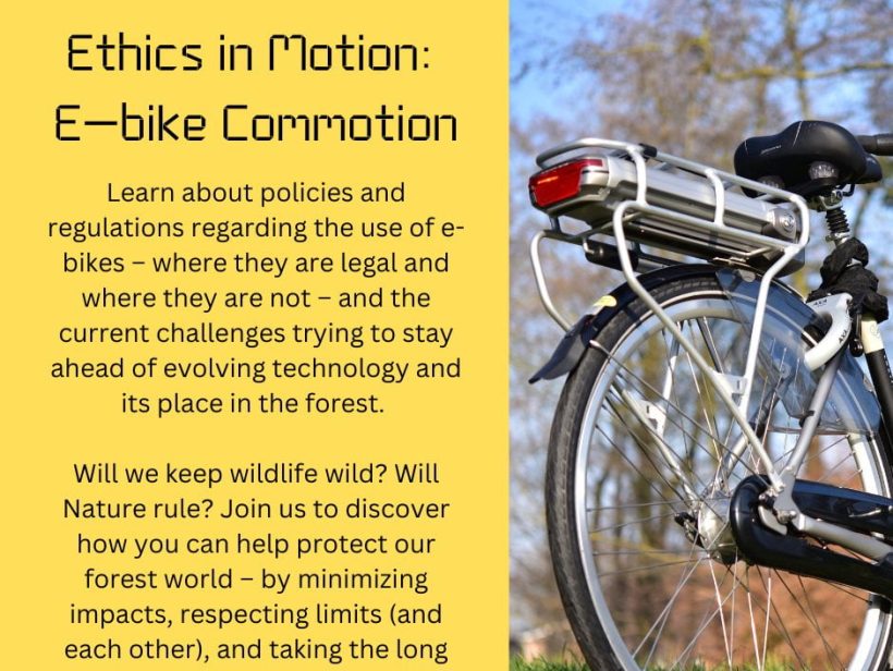 Last Known Picture Of Missing Joseph City Juvenile, Jarrett Brooks ...