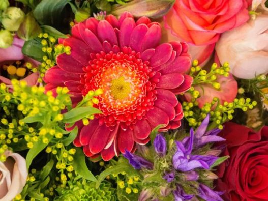 Last Known Picture Of Missing Joseph City Juvenile, Jarrett Brooks ...